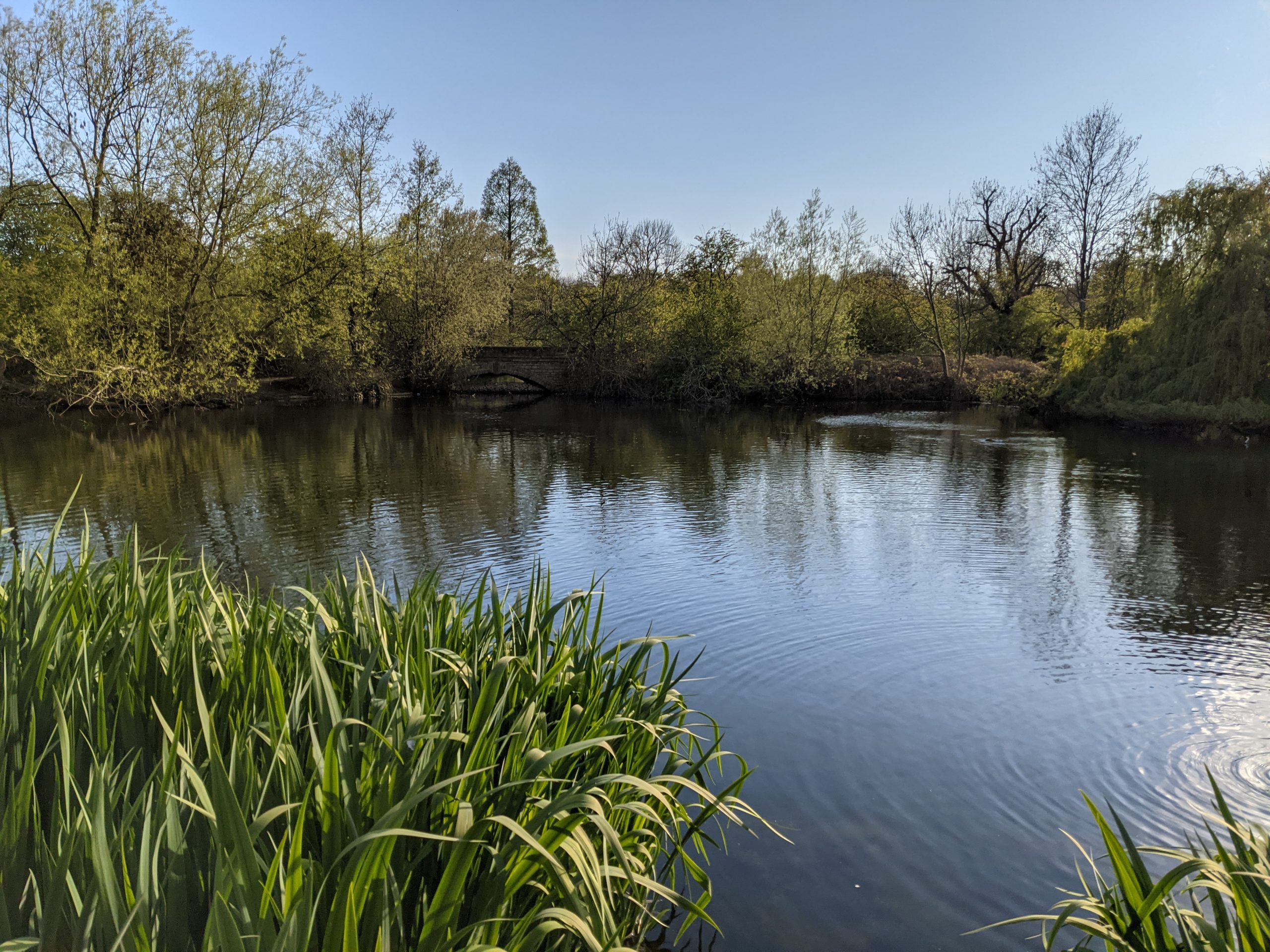 Streatham Common to Wimbledon Park – drewzo.com